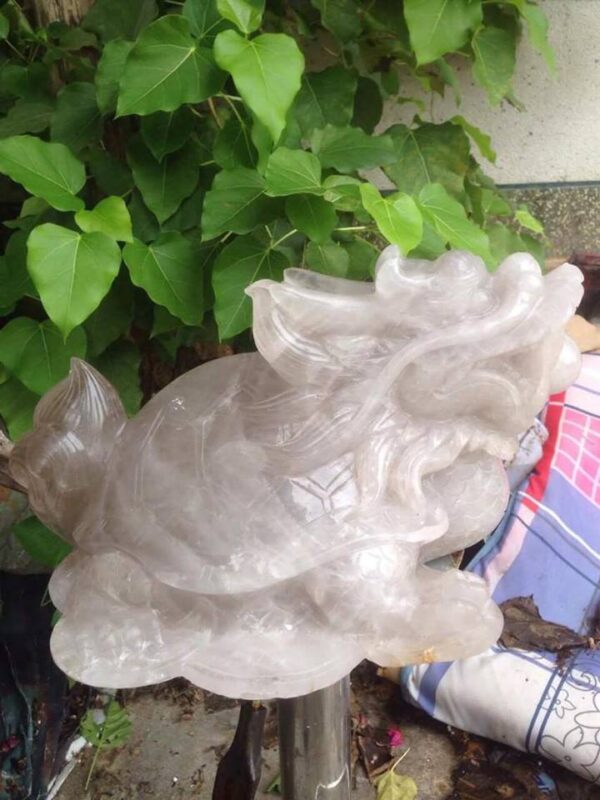 Ý nghĩa của Long Quy (Rùa Đầu Rồng) mà ai cũng nên biết - Đá Quý Kim Tự ...