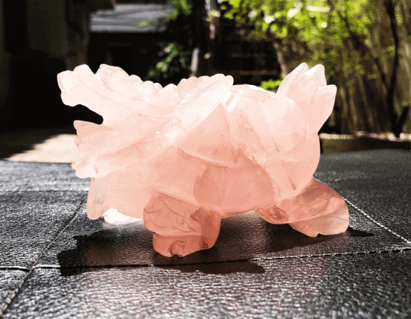 Cách Khai Quang Long Quy (Rùa Đầu Rồng) Phong Thủy - Đá Quý Kim Tự Tháp